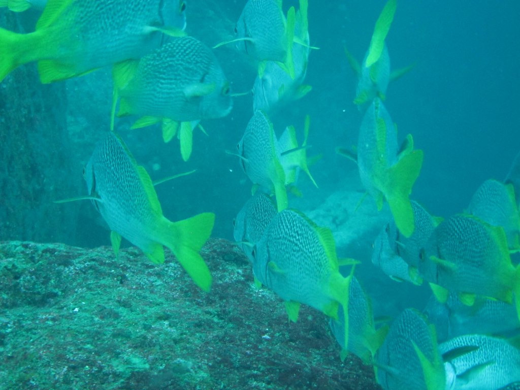 Cold deep water – FrejaTravels